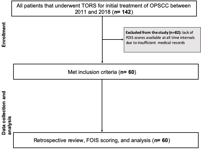Functional Swallowing Outcomes in Transoral Robotic Surgery Patients ...